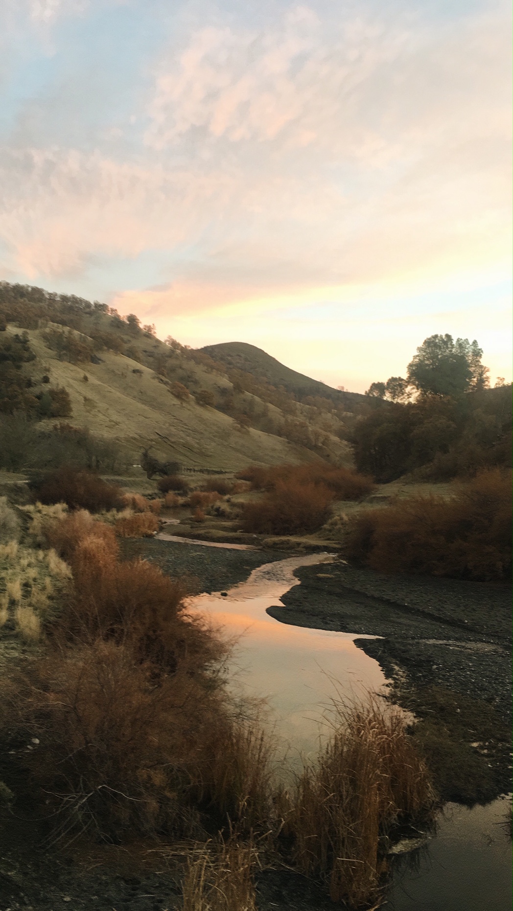 Wilbur’s sunset - Wilbur Hot Springs